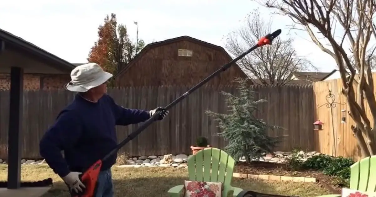 Who Makes The Best Battery Powered Pole Saw? (Answered)
